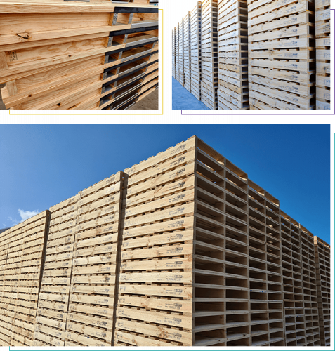 Trusted Pallet Supplier Brisbane – Timber, Plastic & Custom